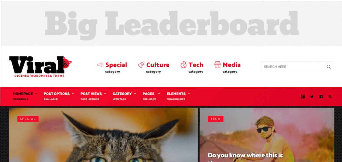 20+ Most Popular Viral Magazine WordPress Themes 2021 - PSDreviews